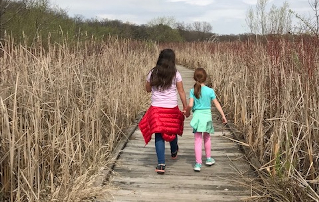 Edgewood Campus School - Madison, WI