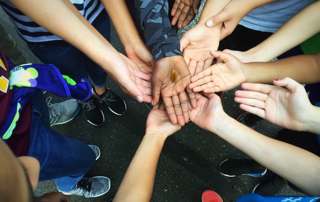 Edgewood Campus School - Madison, WI