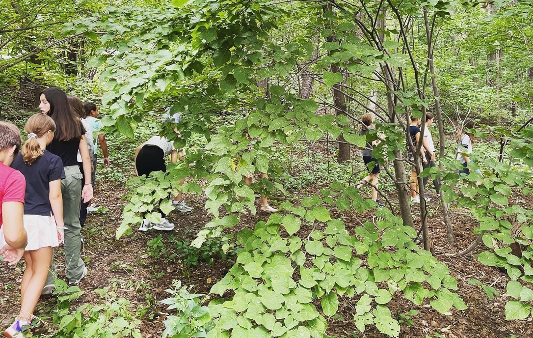 Edgewood Campus School - Madison, WI